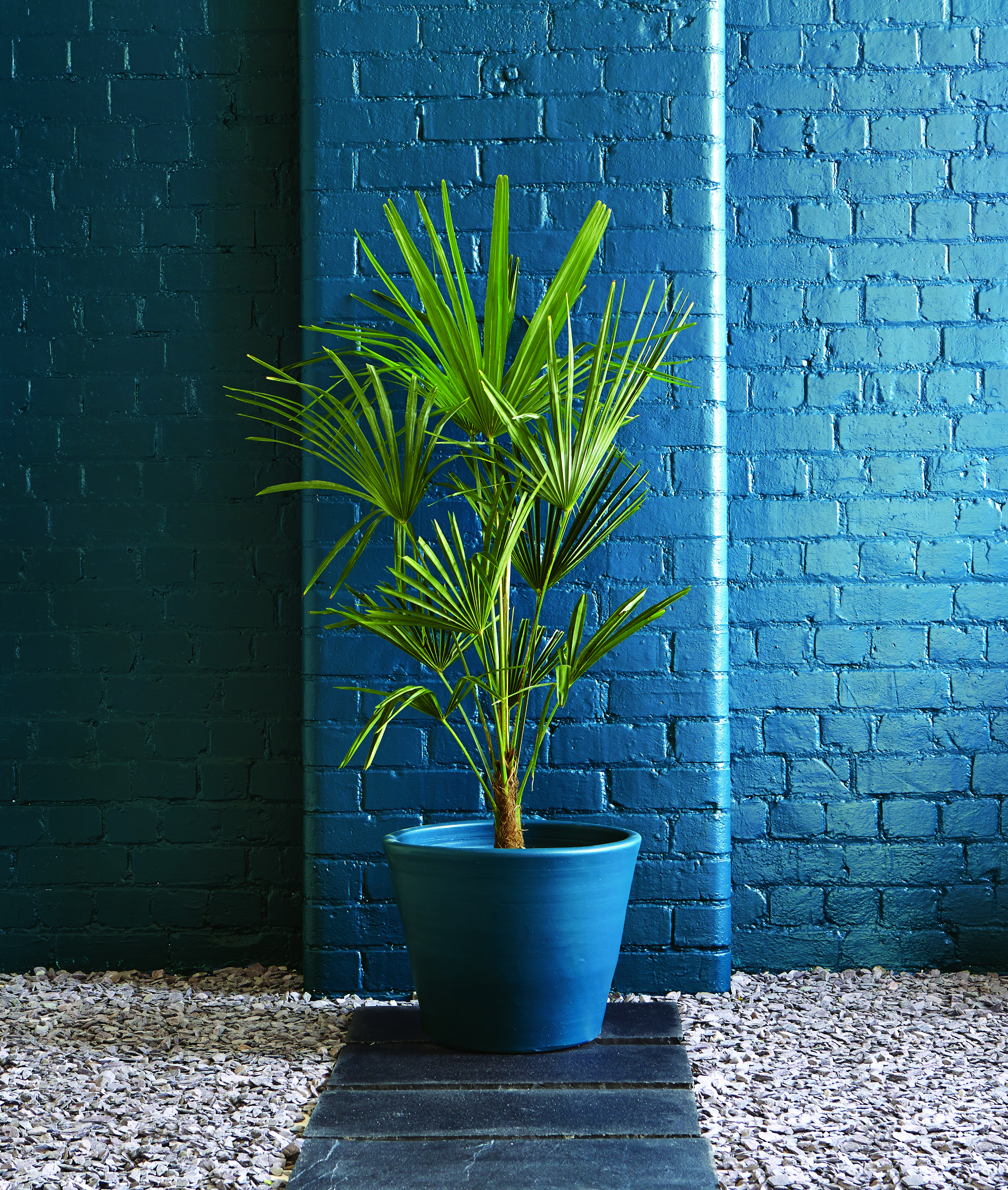 Midnight blue fence paint store